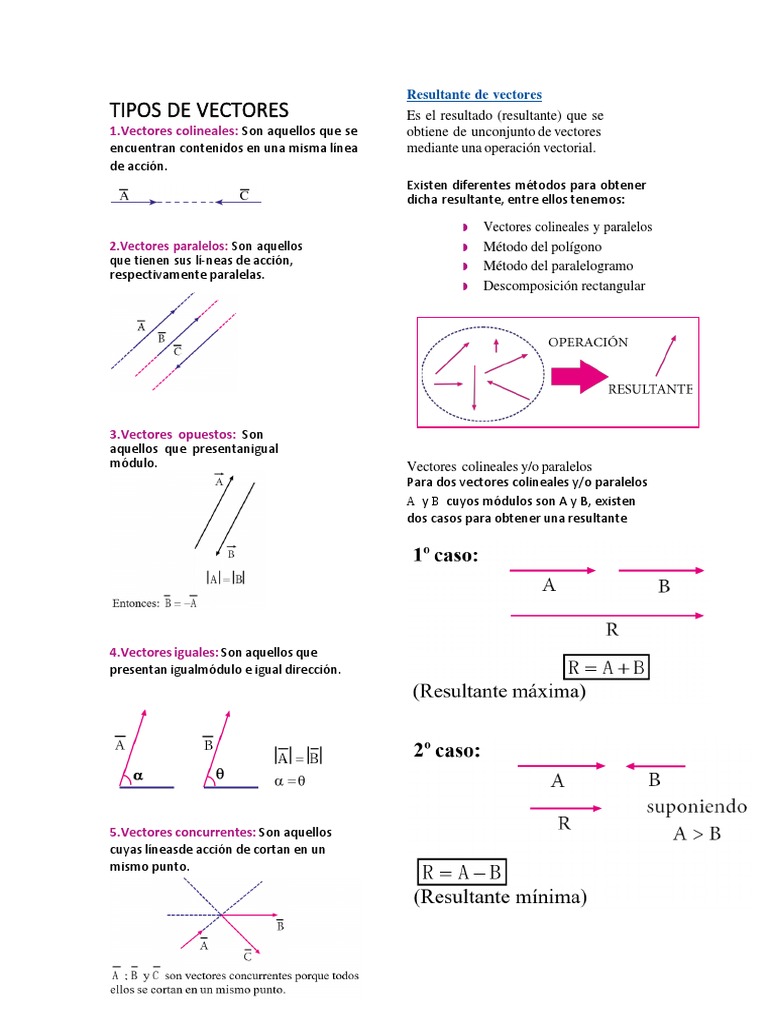 TIPOS DE VECTORES | PDF