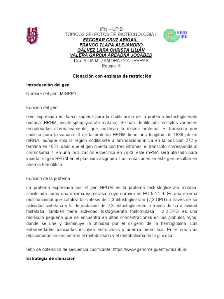 Clonación Con Enzimas de Restricción | PDF