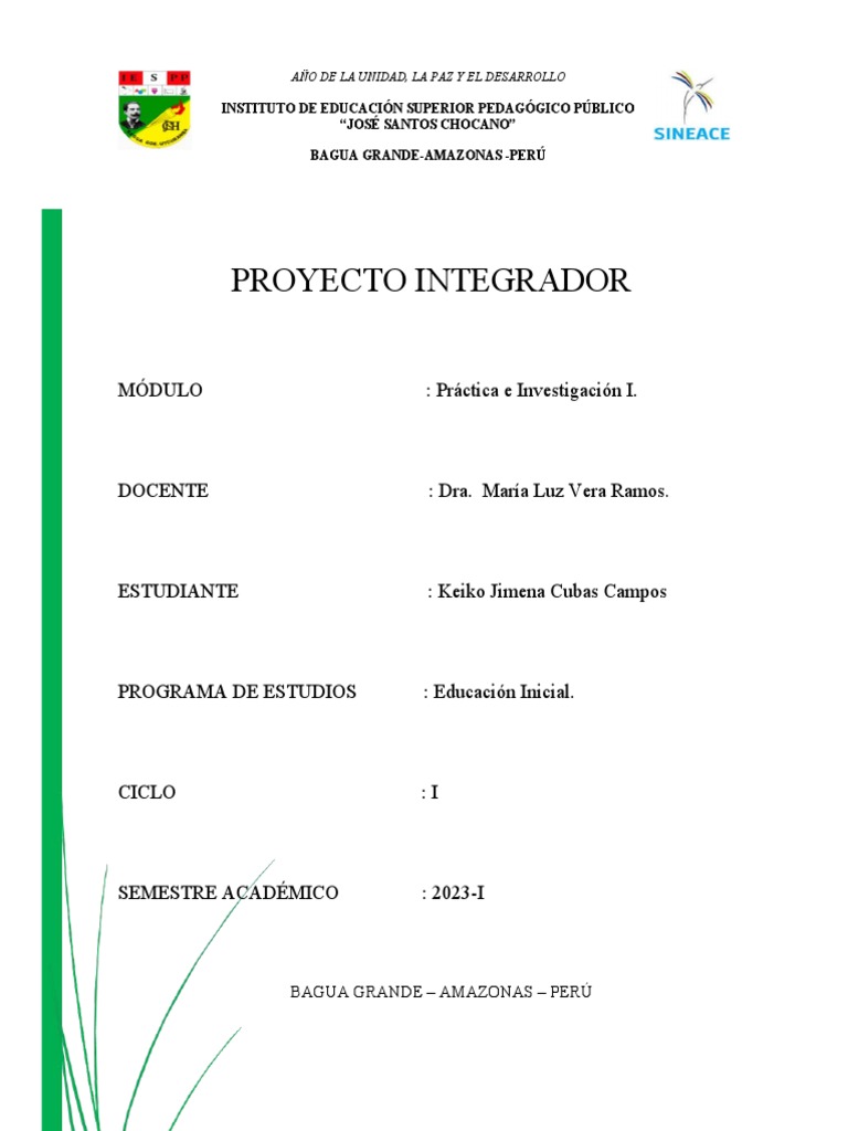 PROYECTO INTEGRADOR. Keiko | PDF