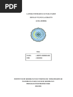 Pemahaman Vulnus Punctum dan Penanganannya | PDF