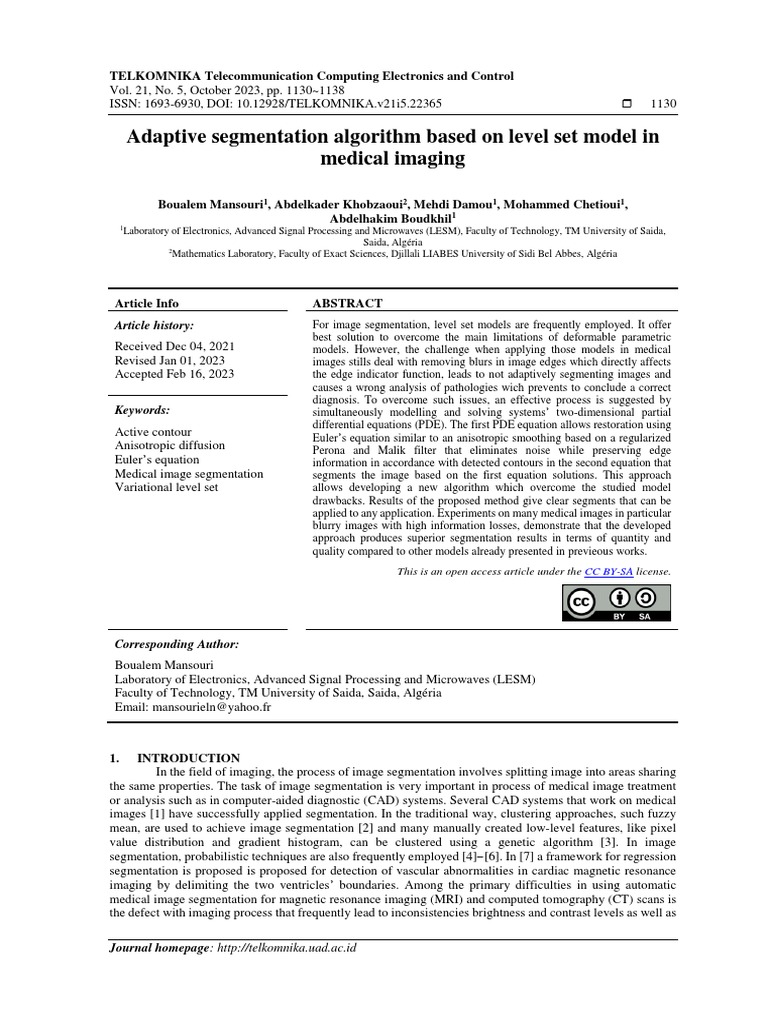 Adaptive Segmentation Algorithm Based On Level Set Model In Medical Imaging Pdf Image