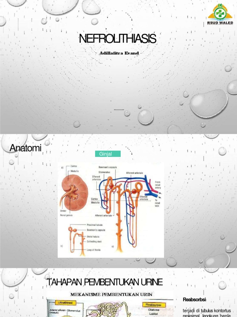 Radiologi-nefrolitiasis | PDF