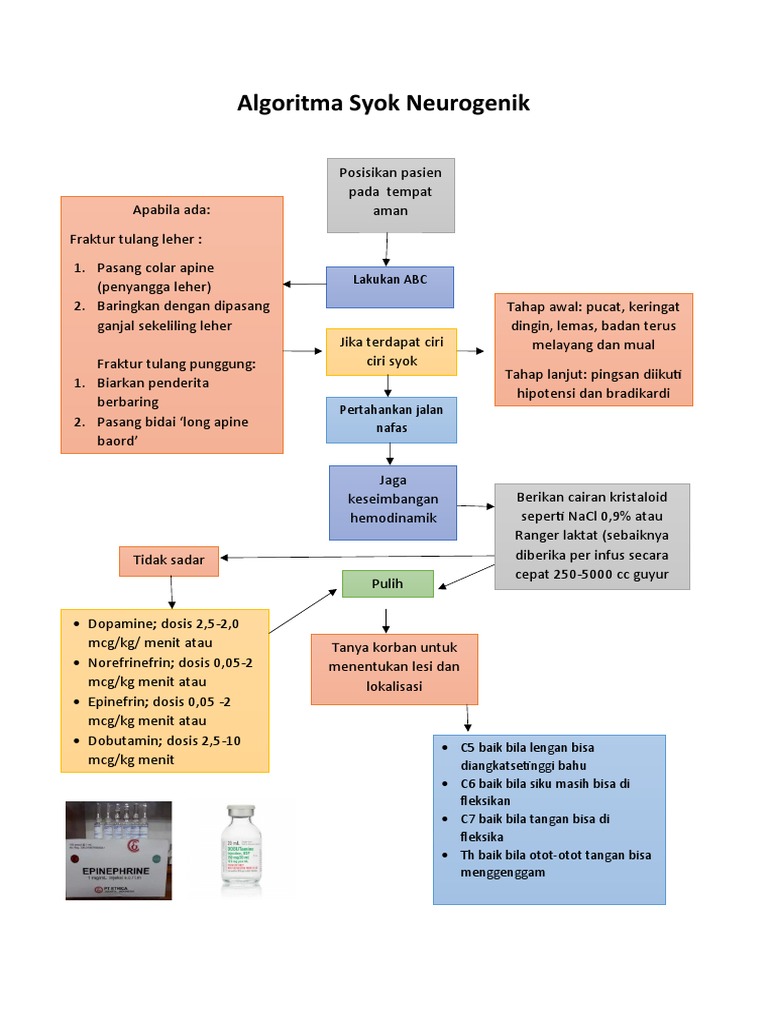 Algoritma Syok Neurogenik | PDF