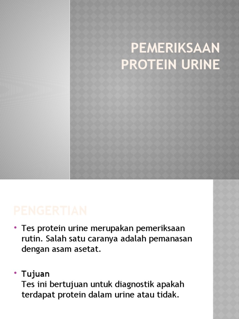 Pemeriksaan Protein Urine | PDF