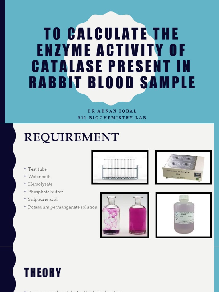 Catalase Enzyme Activity | PDF | Hydrogen Peroxide | Catalase