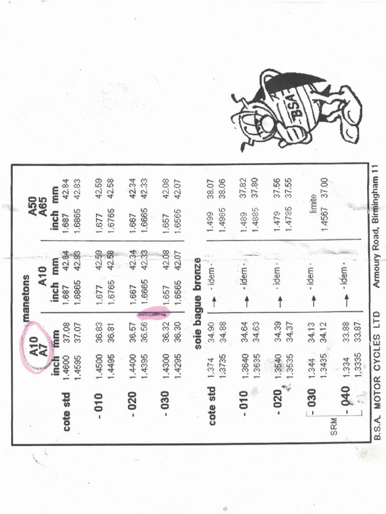 BSA | PDF