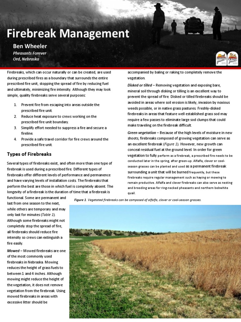 Firebreak Management Brochure | PDF | Fires | Wildfire