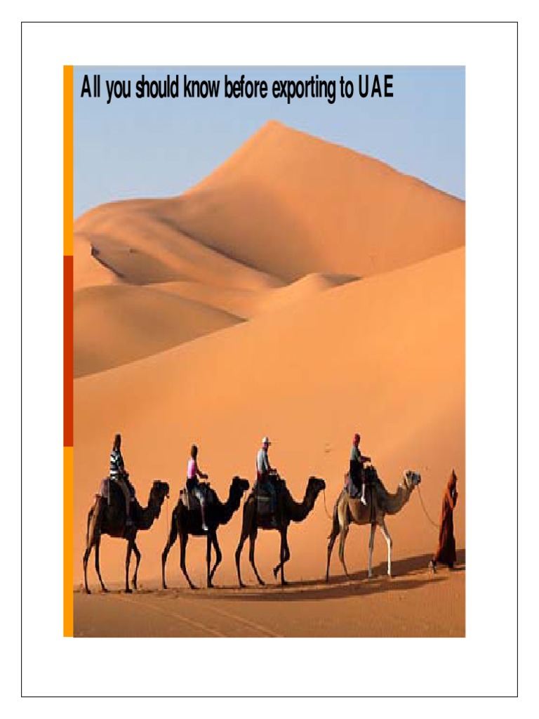 Exporting Essentials to UAE | PDF