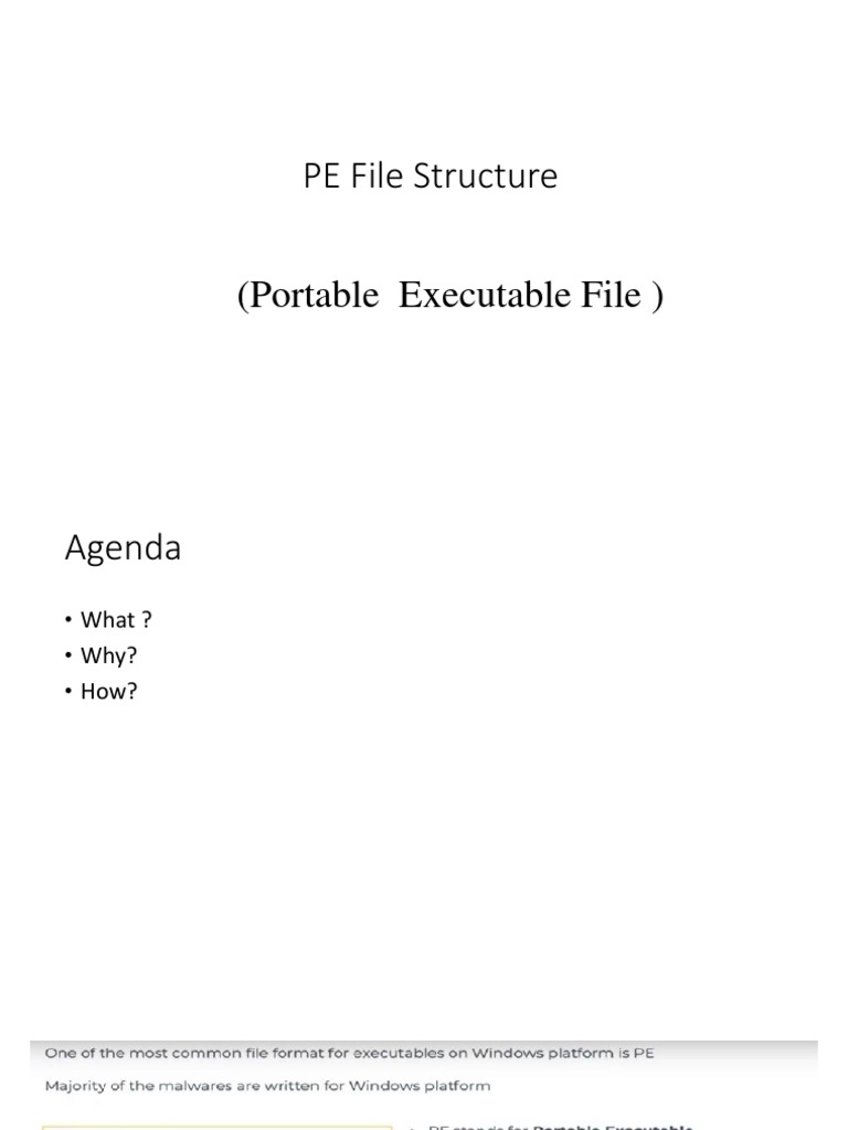 4 Pe File Structure Pdf
