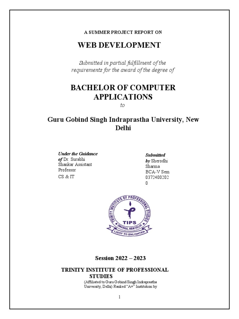 SPT File | PDF | Business