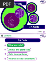 Activate 1 Biology Chapter1 Answers | PDF | Cell (Biology) | Chloroplast