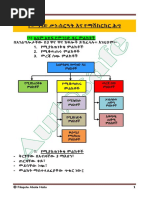 Selama Mamo | PDF