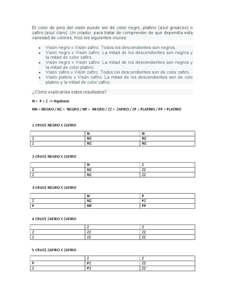 Alelismo múltiple en visones: cruces y fenotipos | PDF | Alelo ...