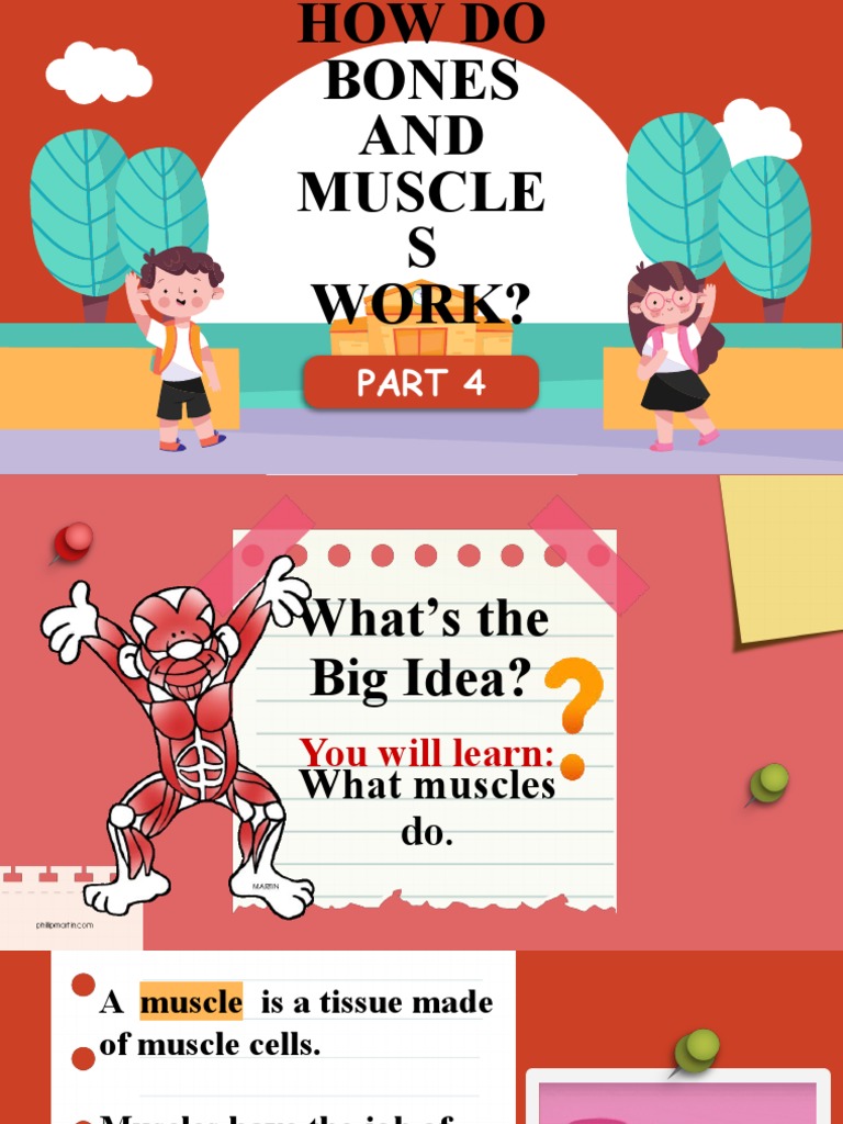 science-how-do-bones-and-muscles-work-part-4-pdf