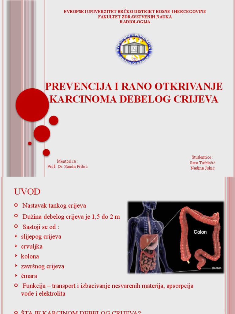 debelo crijevo | PDF