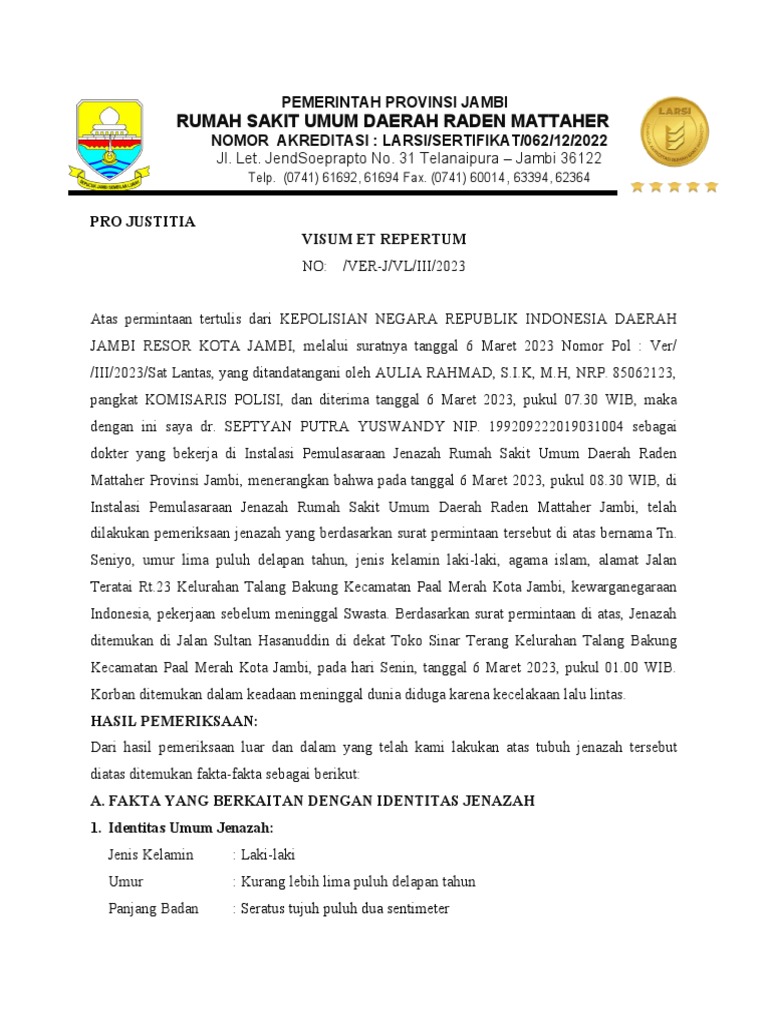 0303 Visum Et Repertum | PDF