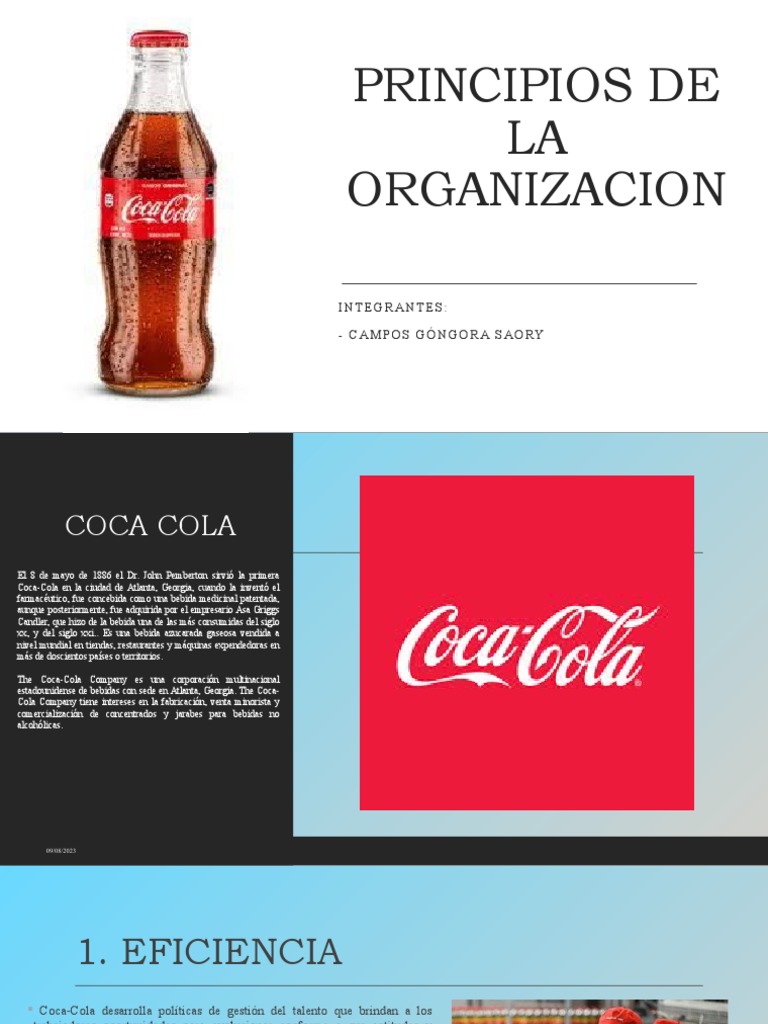 Grupo Coca Cola | PDF Grupo Coca Cola | PDF