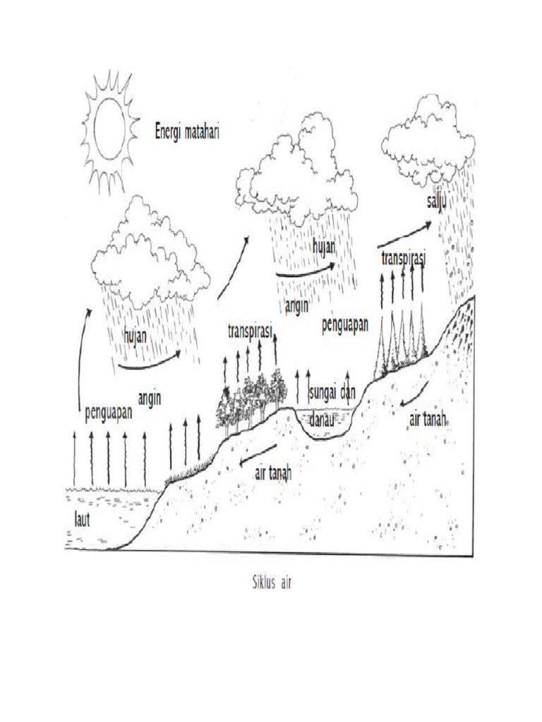 Tugas Bimo Siklus Air | PDF