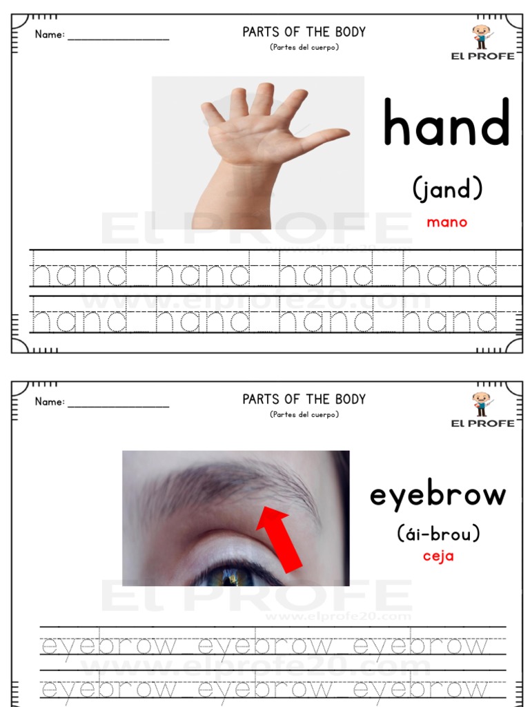 Fichas Partes Del Cuerpo Ingles Español Elprofe20 Pdf