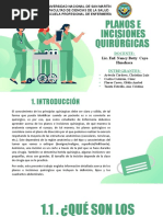 CISTOCLISIS | PDF | Especialidades Medicas | Riego