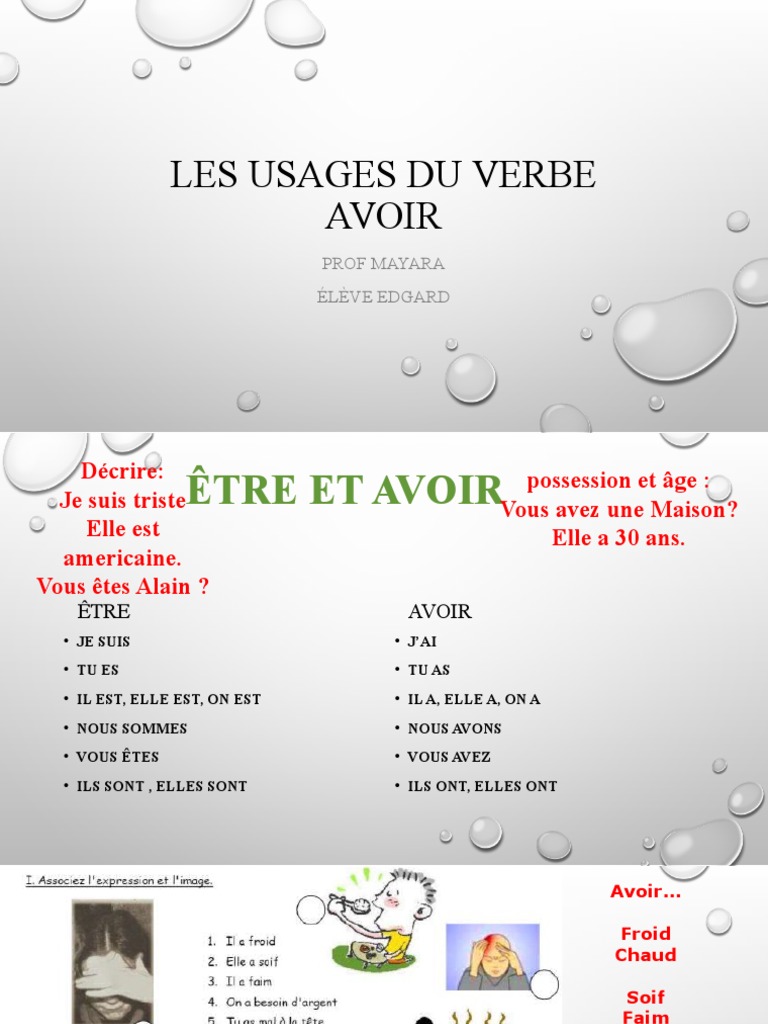 Les Usages Du Verbe Avoir | PDF