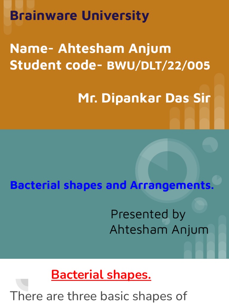 Bacterial Shapes and Arrangements | PDF | Social Science | Wellness