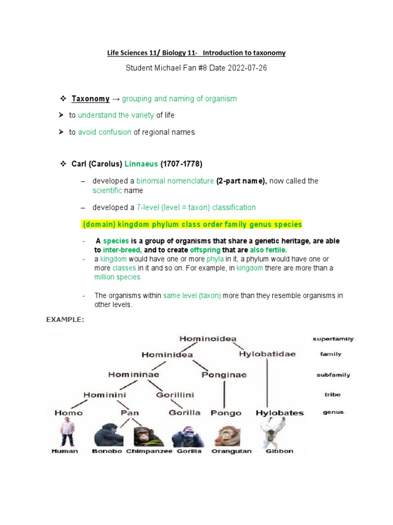 Bio 11 Taxonomy Gap Notes | PDF | Taxonomy (Biology) | Genus