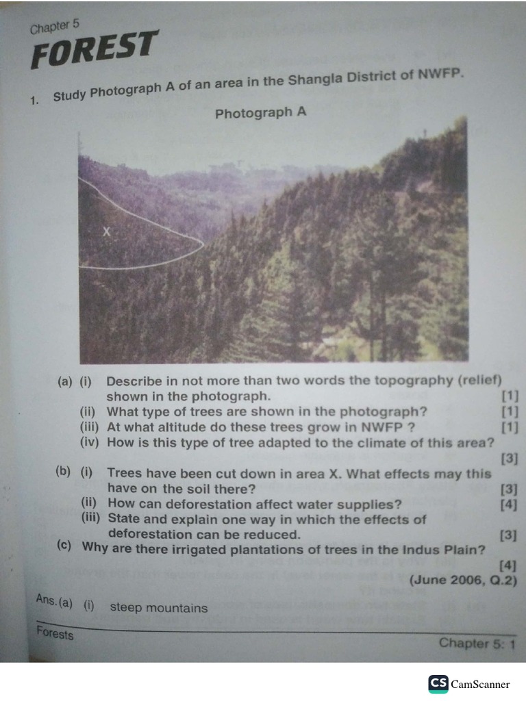 Forest Past Paper Questions | PDF