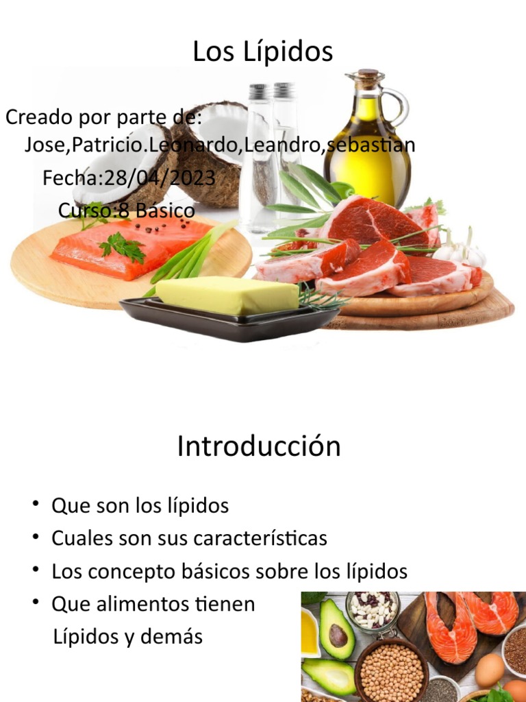 Los Lipidos | PDF