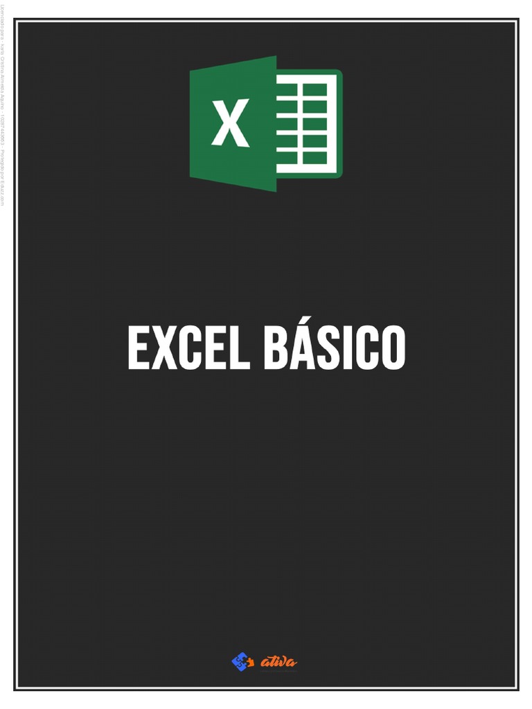 Excel Basico | PDF