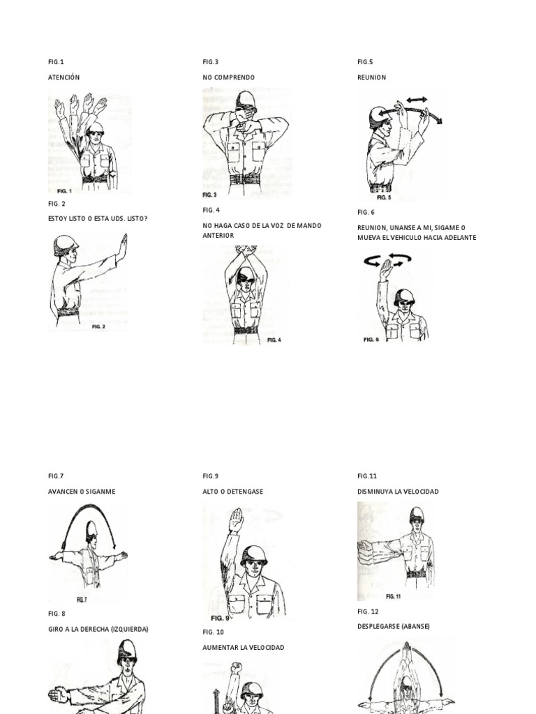 ITD Señales de Brazo | PDF