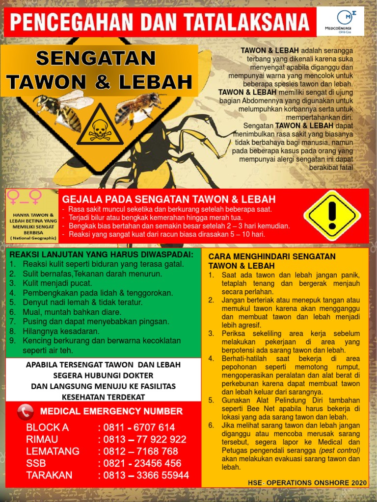 Pencegahan Dan Tatalaksana Sengatan Tawon Dan Lebah | PDF