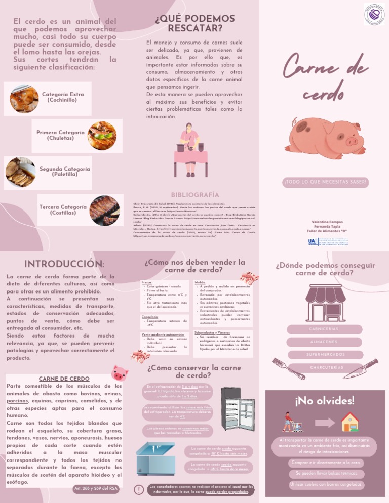 Tríptico Carne de Cerdo | PDF | Carne | Alimentos