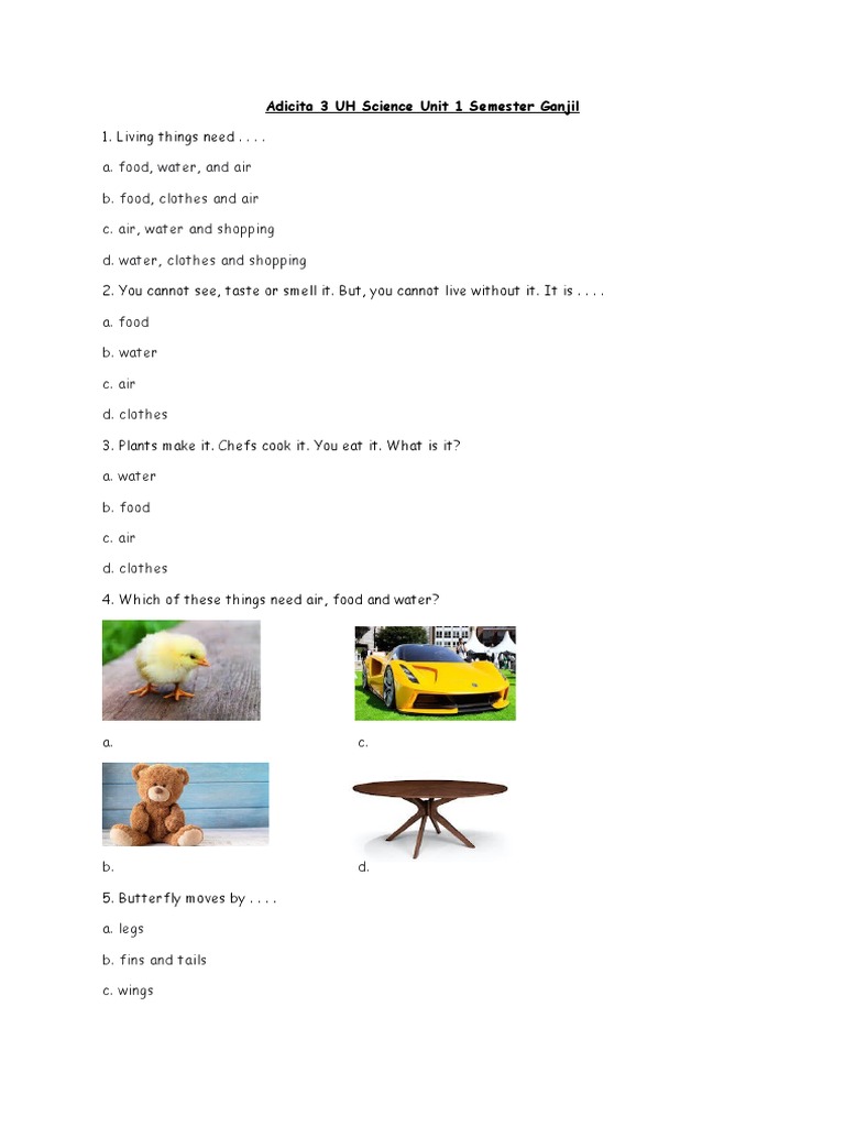 Adicita 3 - Science Unit 1 Semester Ganjil | PDF