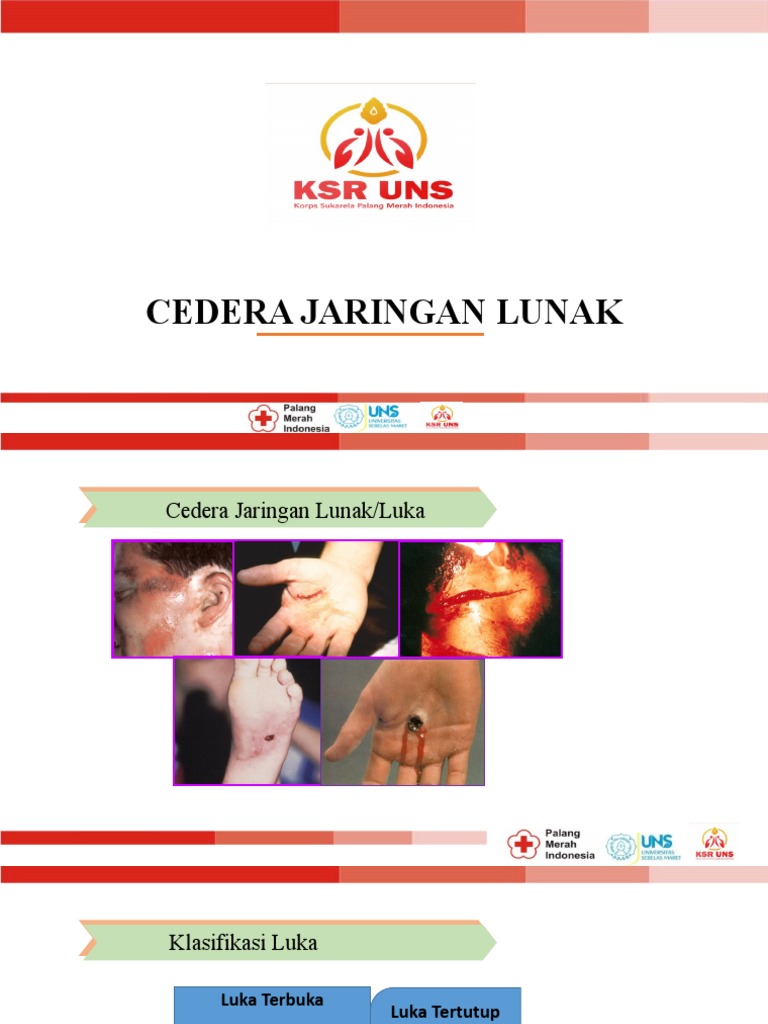 PP - CJL (Cedera Jaringan Lunak) | PDF | Sains & Matematika