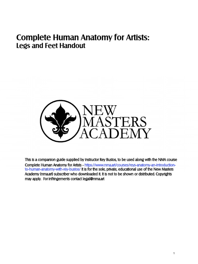 Complete Human Anatomy For Artists Legs and Feet Handout PDF | PDF