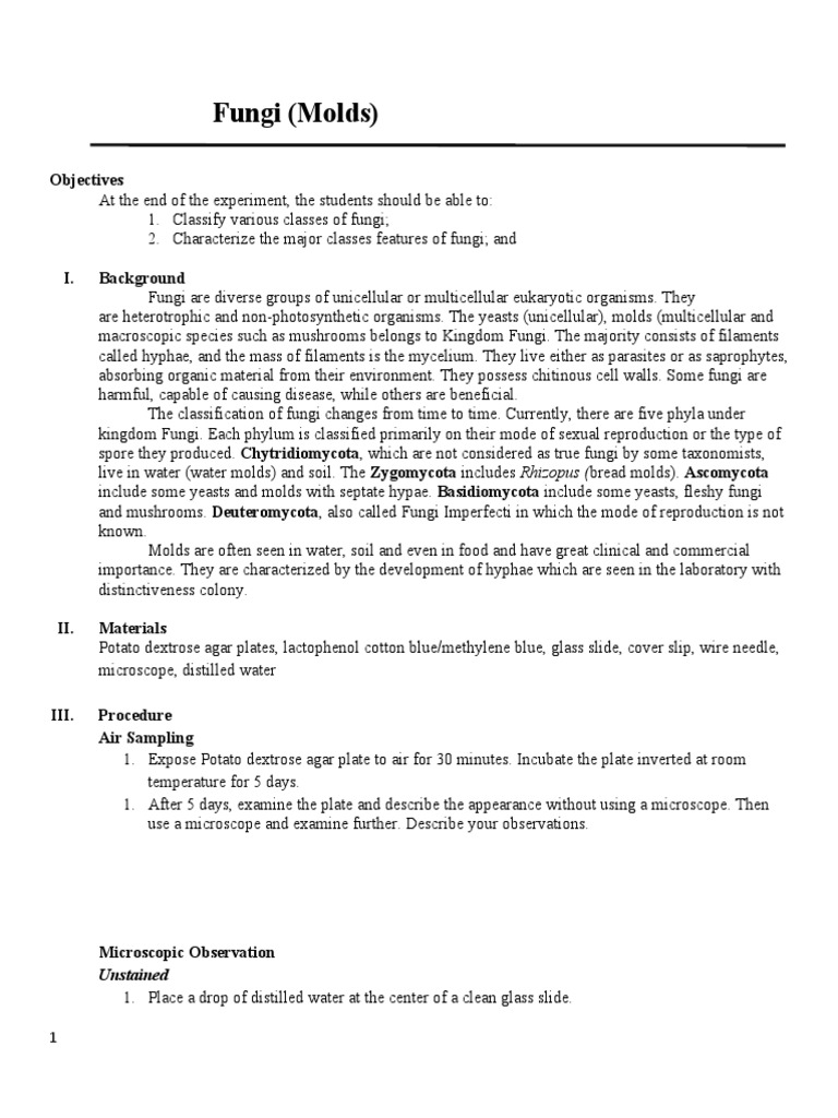 Fungi Molds | PDF | Fungus | Mold