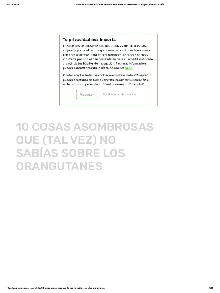 10 Cosas Asombrosas Que (Tal Vez) No Sabías Sobre Los Orangutanes - ES ... 10 Cosas Asombrosas Que (Tal Vez) No Sabías Sobre Los Orangutanes - ES ...