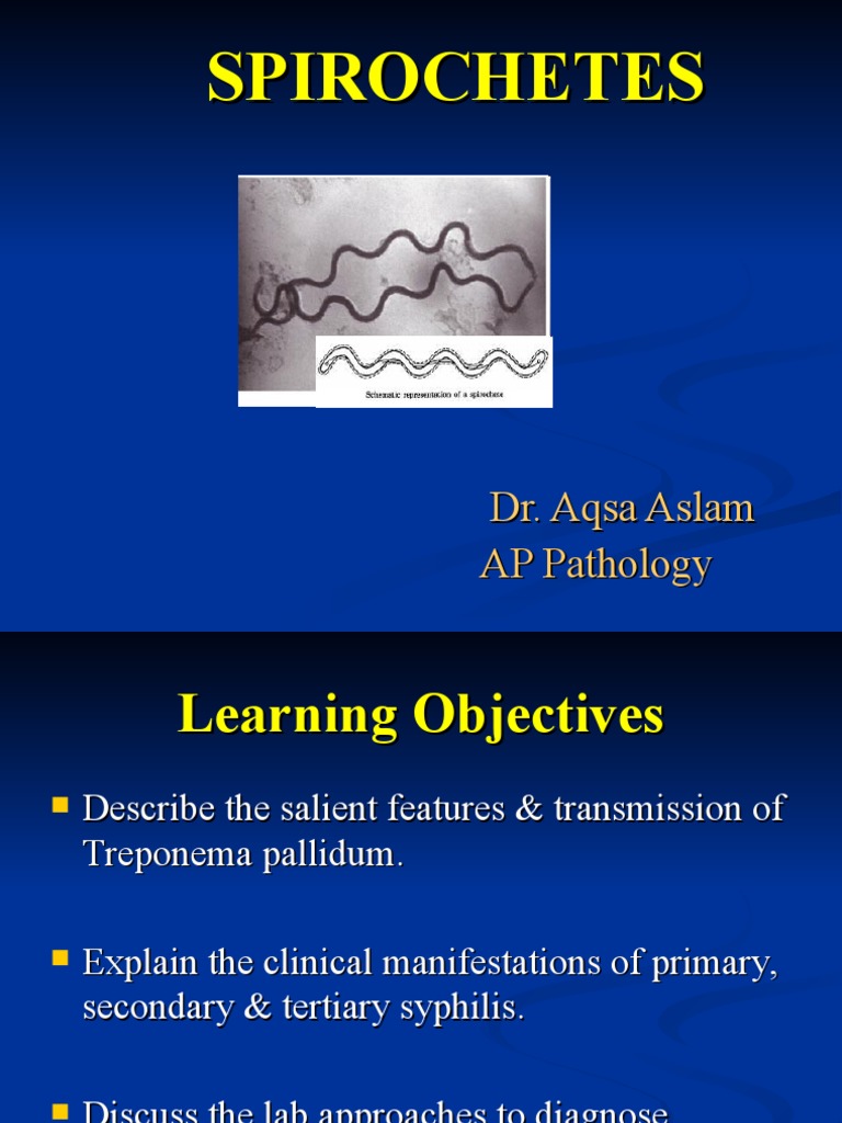 Treponema Pallidum | PDF | Infection | Epidemiology