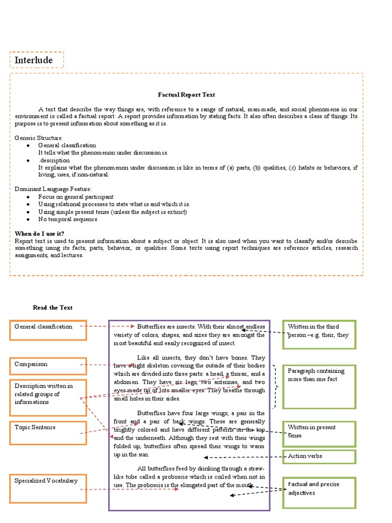 Materi Factual Report Pdf Insects