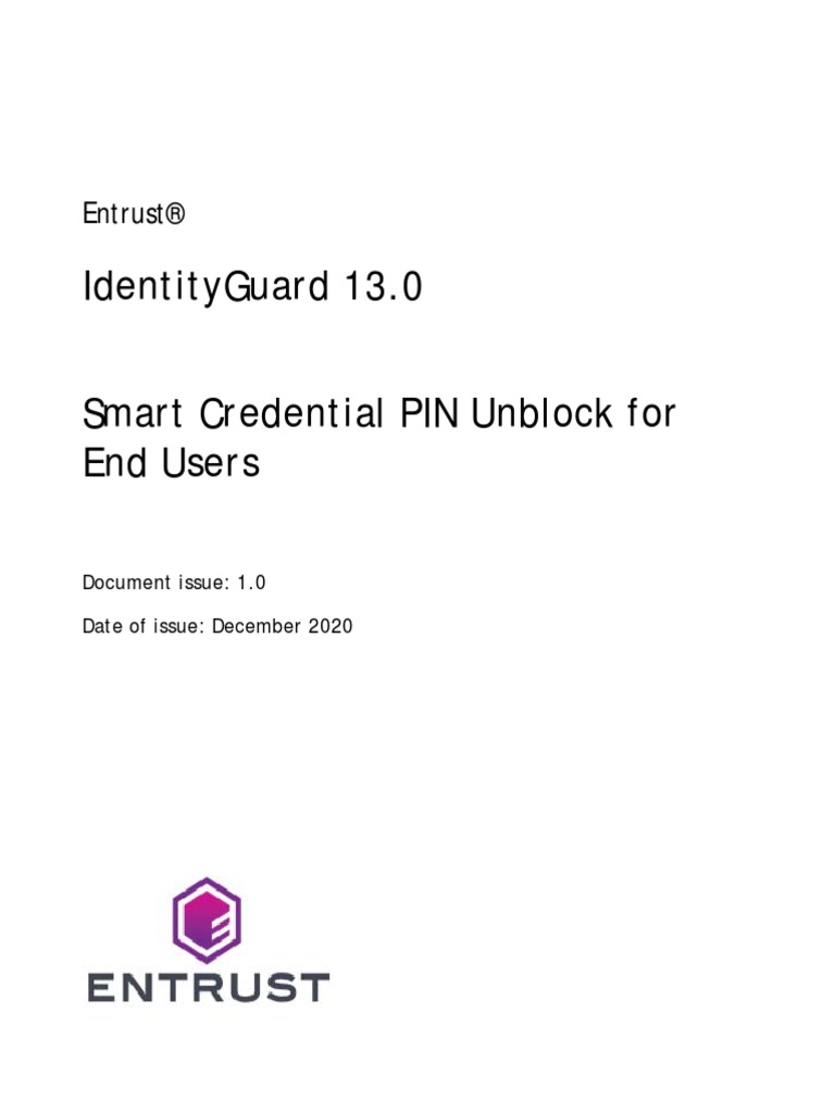 IG 130 PIN Unblock User Guide | PDF