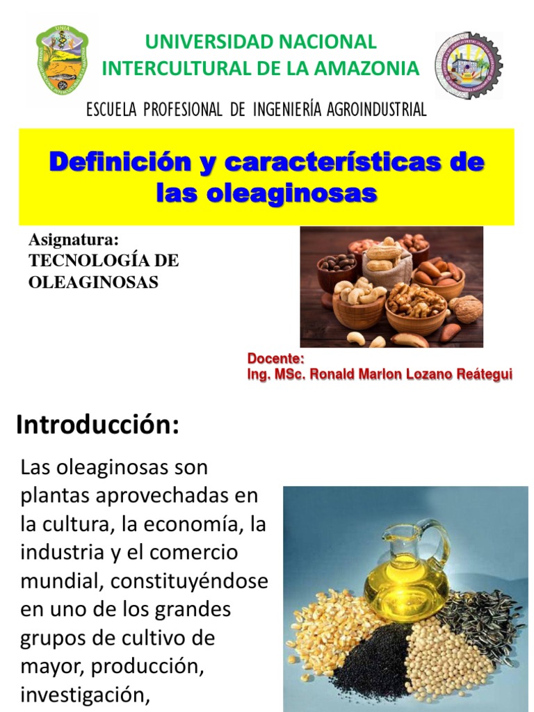 Definición y características de oleaginosas | PDF | Petróleo | Lípido