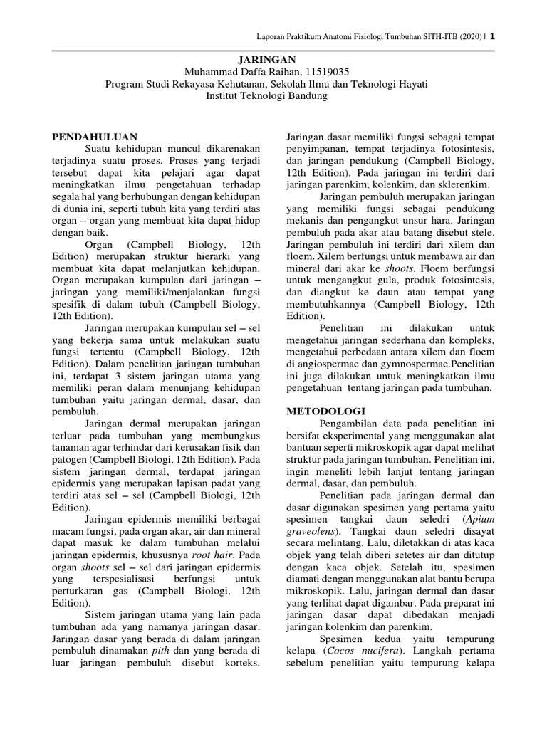 Laporan3 - Muhammad Daffa Raihan - 11519035 | PDF