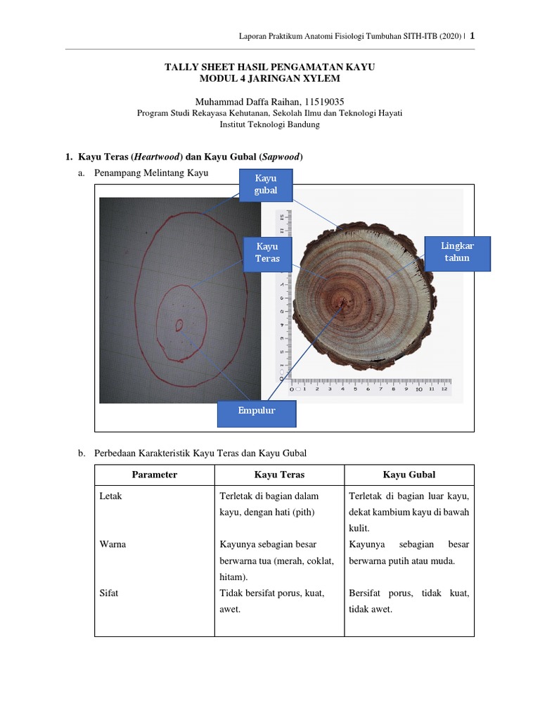Laporan4 - Muhammad Daffa Raihan - 11519035 | PDF