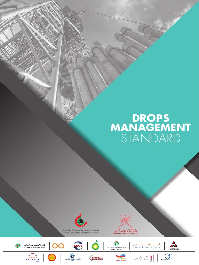 DROPS Management Standard 2023 WEB | PDF | Audit | Risk