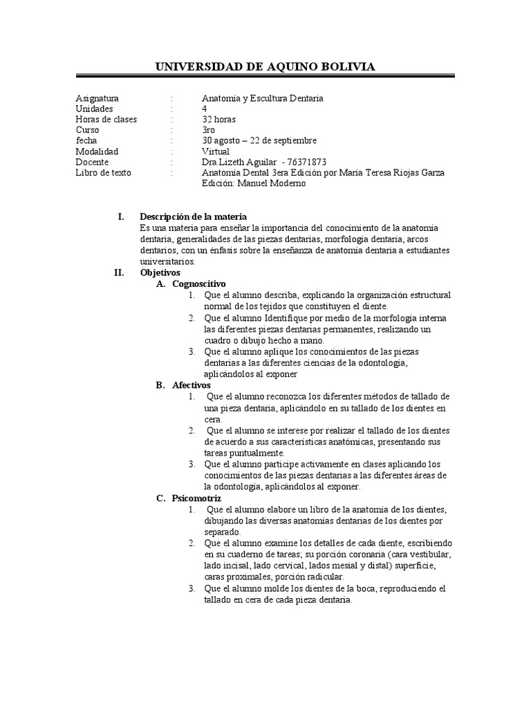 UNIVERSIDAD DE AQUINO BOLIVIA Por Lizeth Aguilar | PDF | Artes del ...