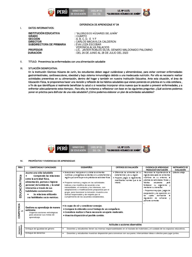 EDA Nº4 ED F Cuarto Grado 2023 | PDF | Aprendizaje | Dieta
