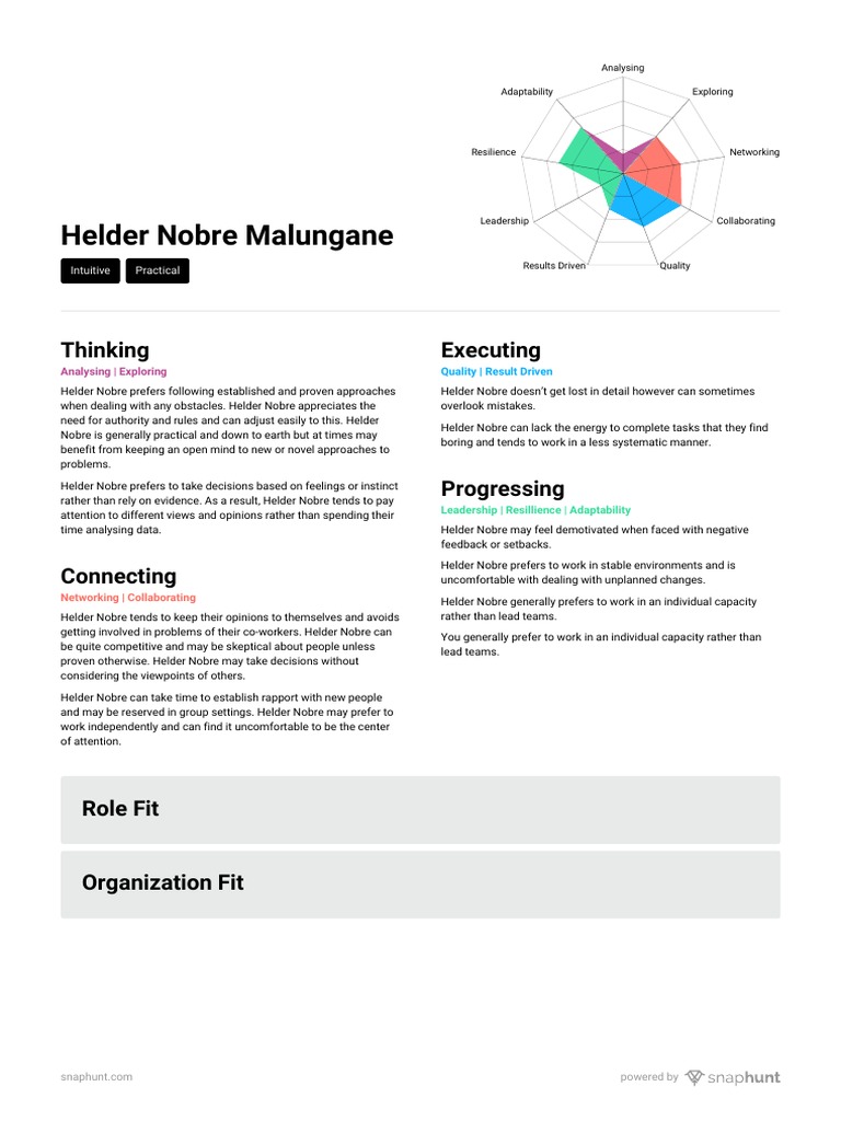 Helder Nobre's Work Style Analysis | PDF