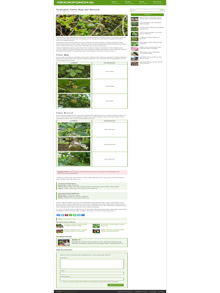 Perbedaan Pohon Maja Dan Berenuk | PDF