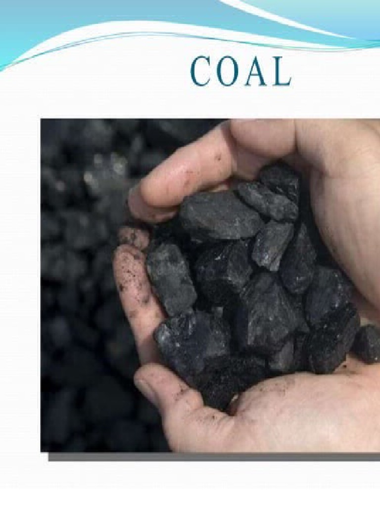 Coal Geology PPT Cuk | PDF